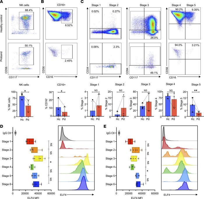 JCI Insight - An ELF4 hypomorphic variant results in NK cell deficiency