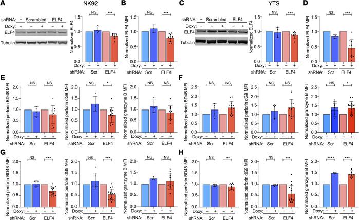 JCI Insight - An ELF4 hypomorphic variant results in NK cell deficiency