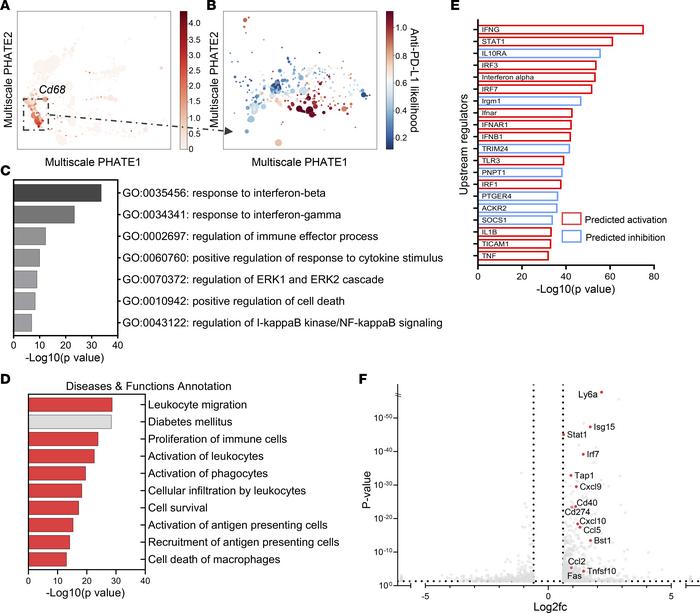 JCI Insight - Immune cells and their inflammatory mediators modify β ...