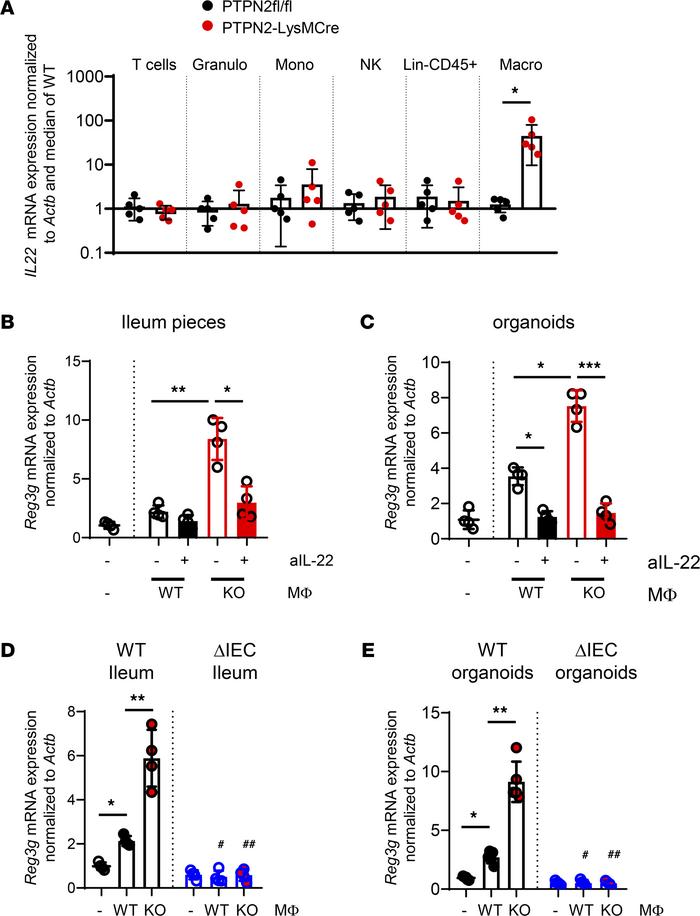 JCI Insight - PTPN2 regulates bacterial clearance in a mouse model of ...