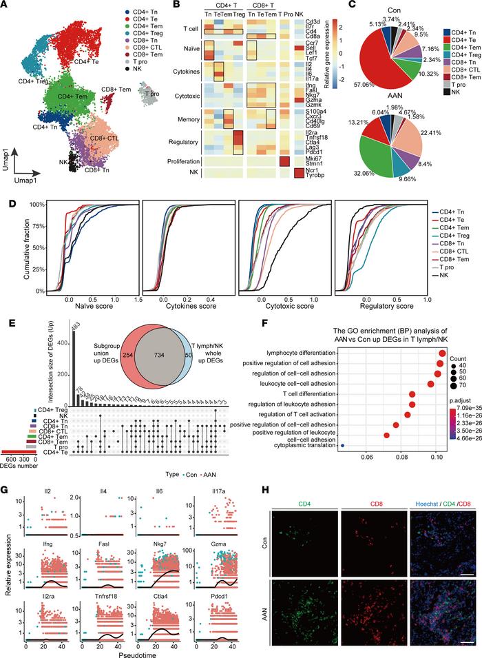 JCI Insight - Integrated single-cell transcriptomics and proteomics ...