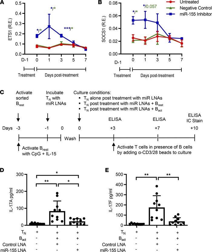 JCI Insight - Activated CLL cells regulate IL-17F–producing Th17 cells ...