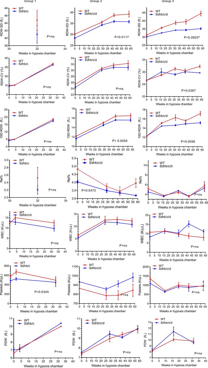 JCI Insight - Succinate dehydrogenase inversely regulates red cell ...
