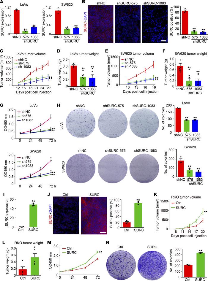 JCI Insight - A specific upregulated long noncoding RNA in colorectal ...
