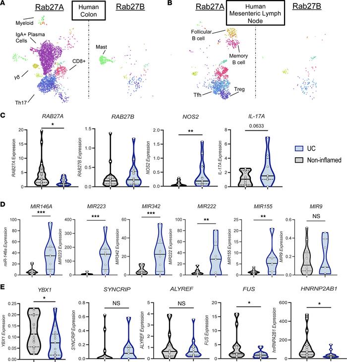 JCI Insight - CD11c+ myeloid cell exosomes reduce intestinal ...