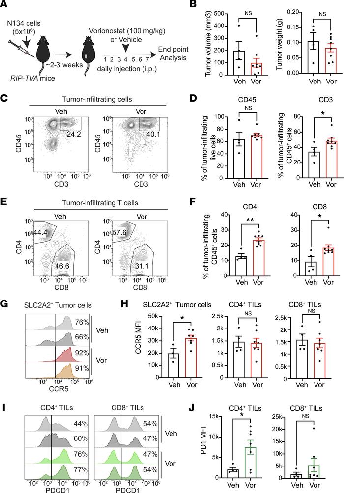 JCI Insight - Metastatic pancreatic neuroendocrine tumors feature ...