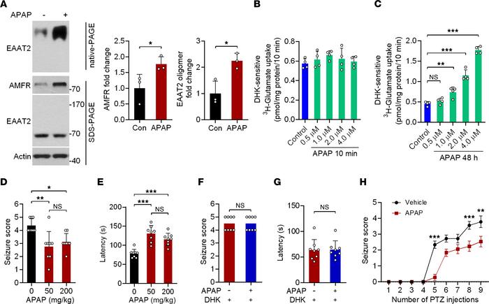 JCI Insight - Pharmacological induction of AMFR increases functional ...