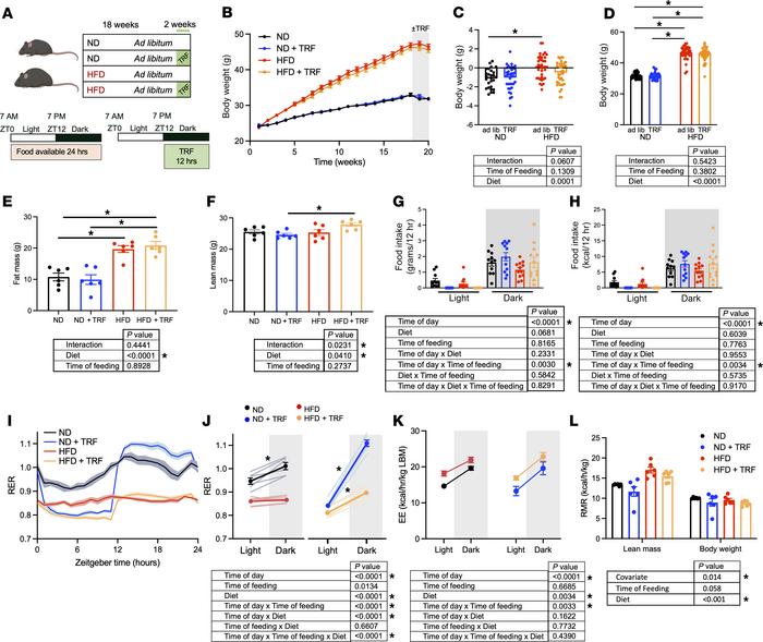 JCI Insight - Time-restricted feeding reduces cardiovascular disease ...