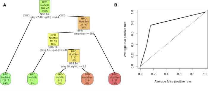 JCI Insight - Thyroid hormone modulates hyperoxic neonatal lung injury ...