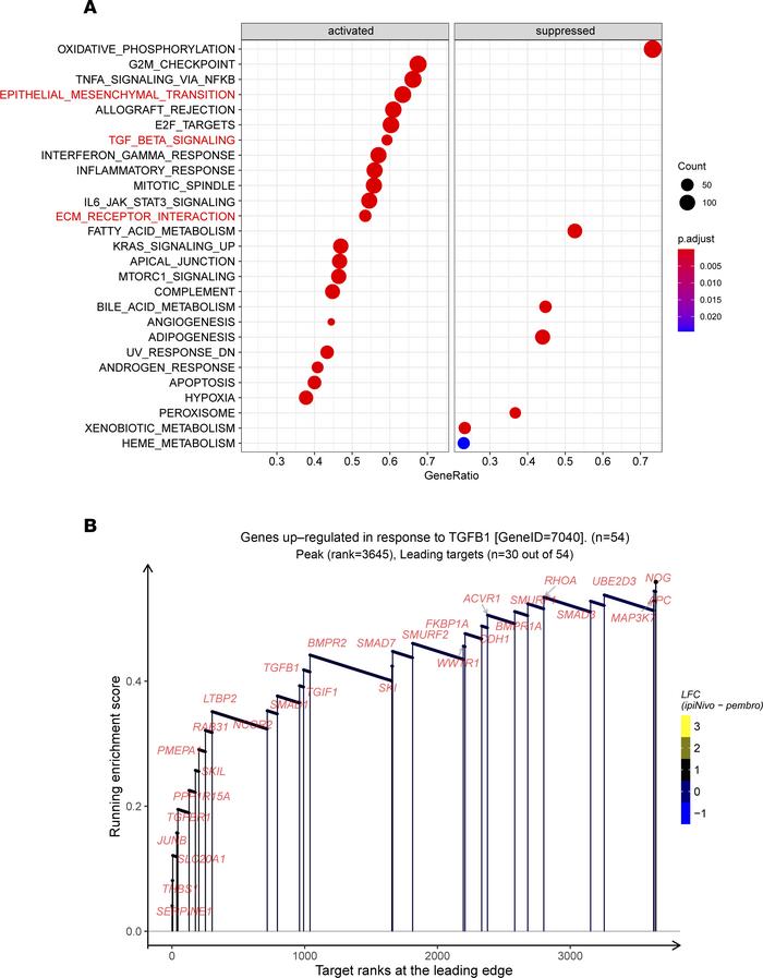 JCI Insight - The long noncoding RNA THBS1-AS1 promotes cardiac ...
