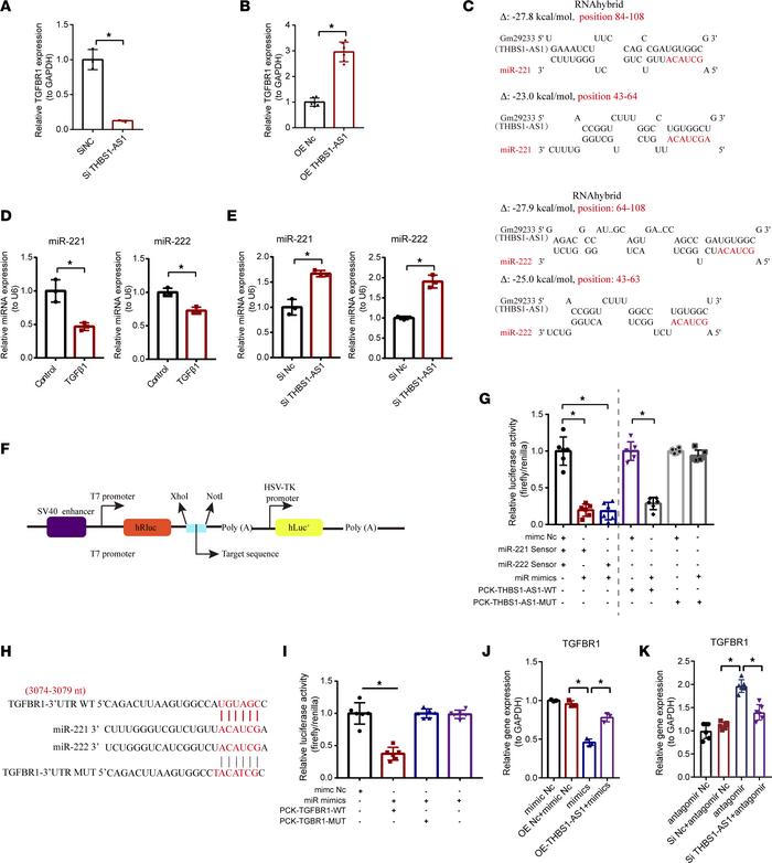 JCI Insight - The long noncoding RNA THBS1-AS1 promotes cardiac ...