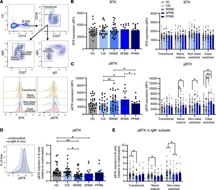 JCI Insight - Human T-bet+ B cell development is associated with BTK ...