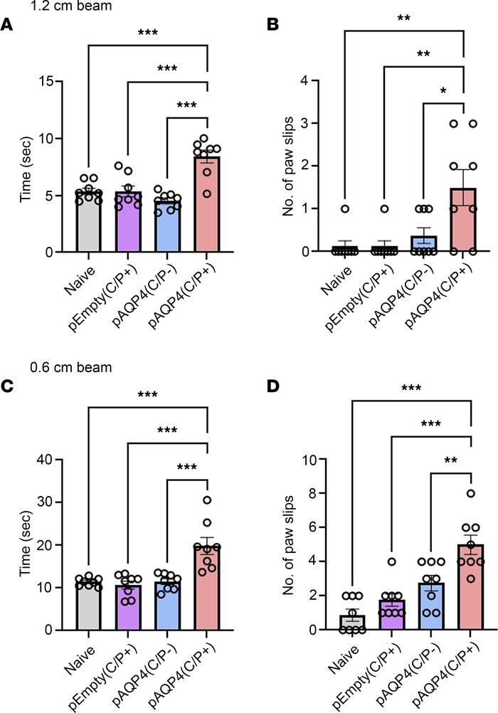JCI Insight - T follicular helper cells contribute to pathophysiology ...