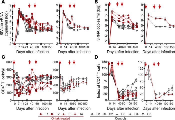 JCI Insight - T cell activation is insufficient to drive SIV disease ...