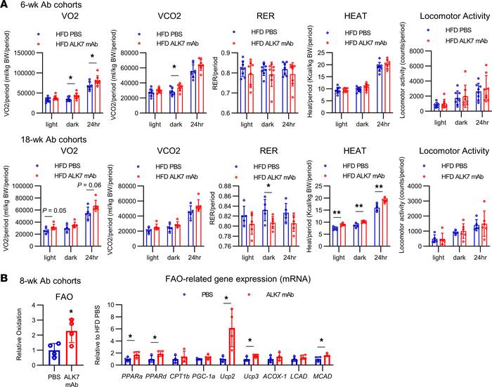 JCI Insight - Targeting activin receptor–like kinase 7 ameliorates ...