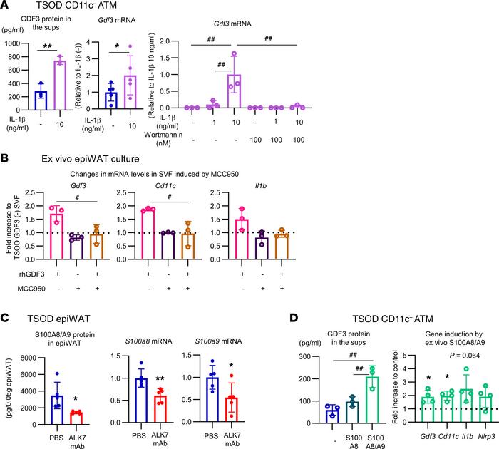 JCI Insight - Targeting activin receptor–like kinase 7 ameliorates ...
