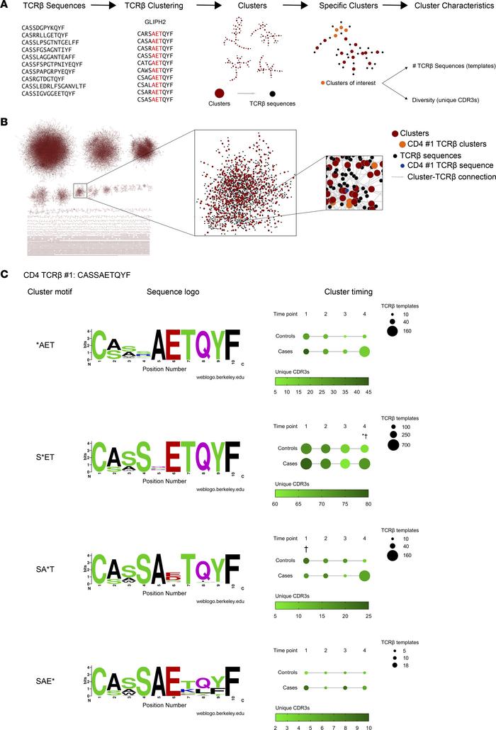 JCI Insight - Temporal development of T cell receptor repertoires ...