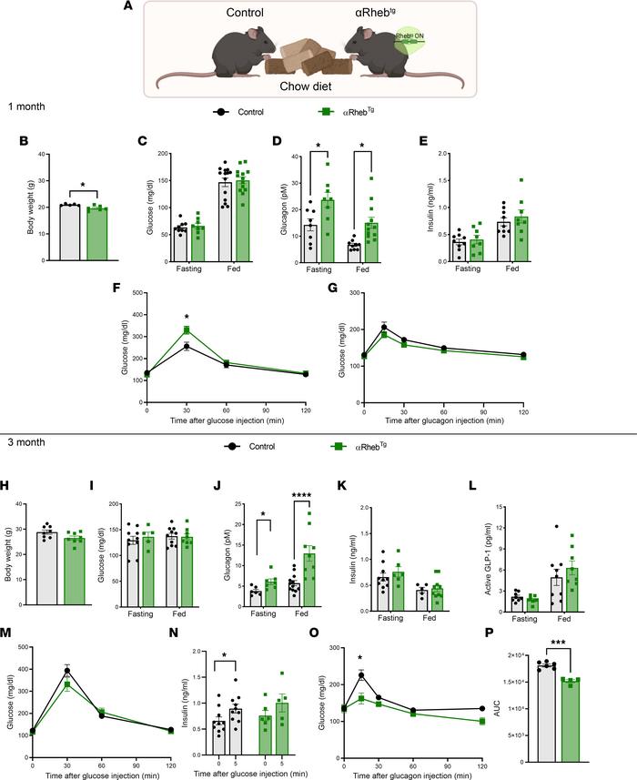 JCI Insight - Time-dependent effects of endogenous hyperglucagonemia on ...