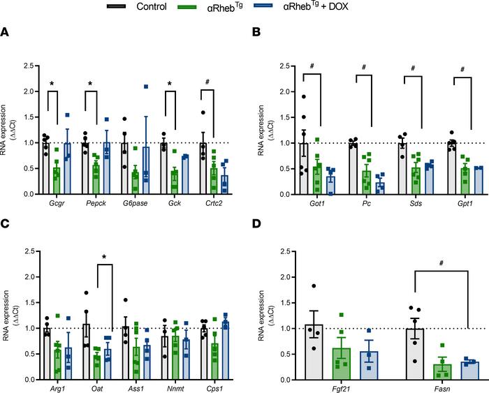 JCI Insight - Time-dependent effects of endogenous hyperglucagonemia on ...