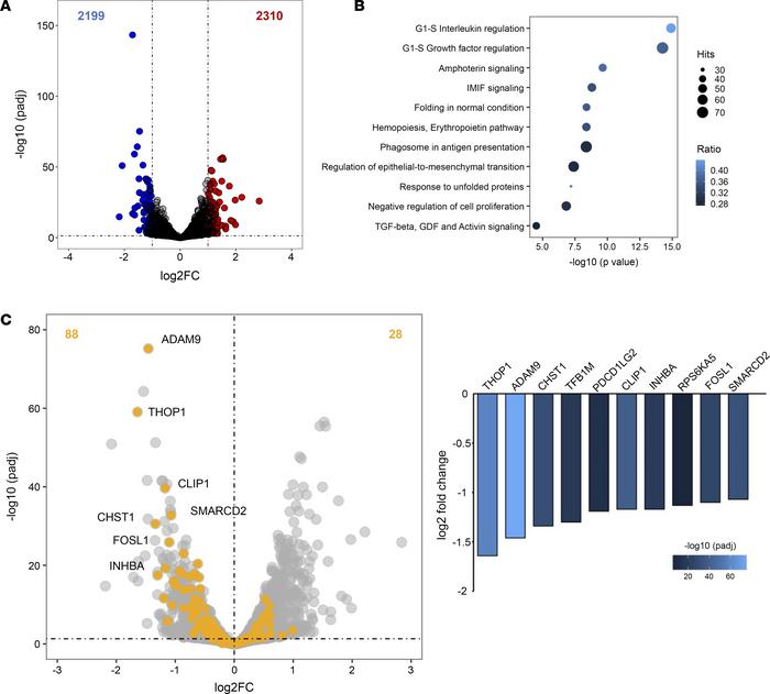 JCI Insight - Impaired angiogenesis in diabetic critical limb ischemia ...