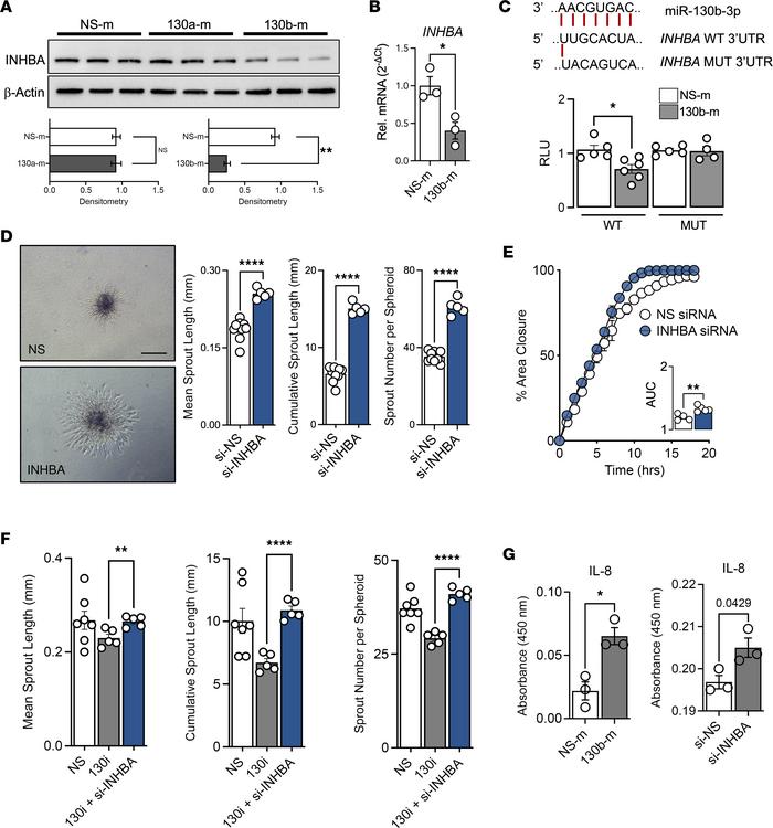 JCI Insight - Impaired angiogenesis in diabetic critical limb ischemia ...
