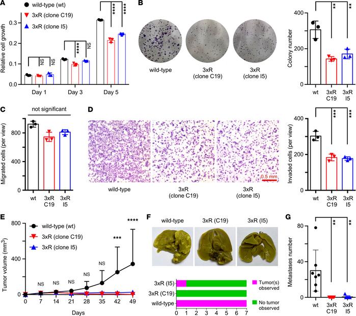 JCI Insight - SET7/9-mediated methylation affects oncogenic functions ...