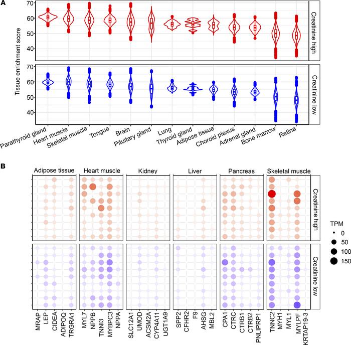 JCI Insight - Circulating extracellular vesicles in human cardiorenal ...