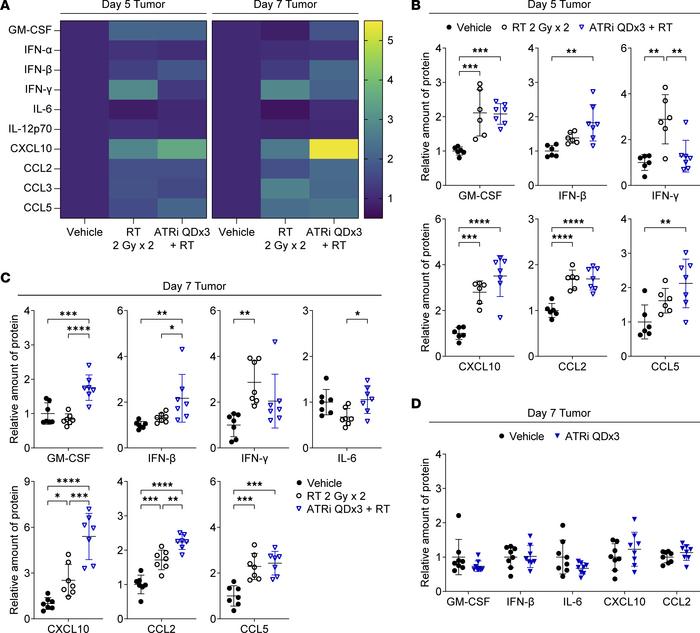 JCI Insight - The schedule of ATR inhibitor AZD6738 can potentiate or ...