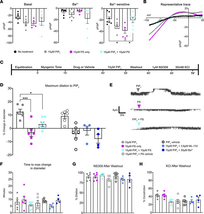 JCI Insight - Polarized localization of phosphatidylserine in the ...