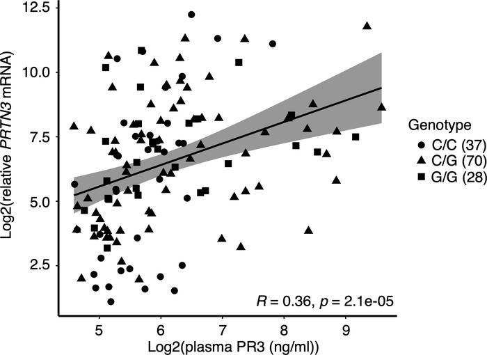 JCI Insight - PRTN3 variant correlates with increased autoantigen ...