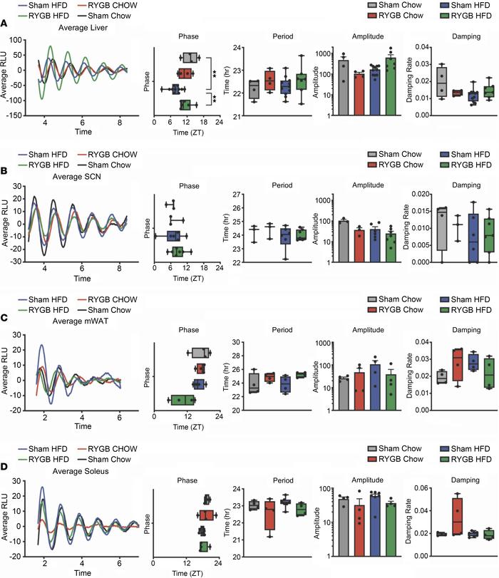 JCI Insight - Gastric bypass alters diurnal feeding behavior and ...