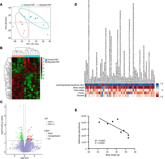 JCI Insight - Dietary butyrate ameliorates metabolic health associated ...