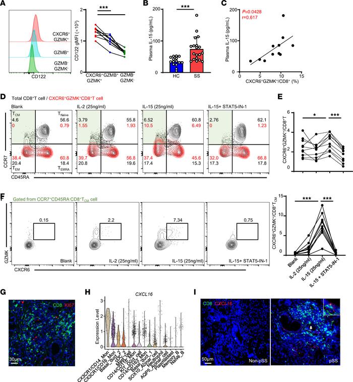 JCI Insight - Single-cell profiling reveals pathogenic role and ...