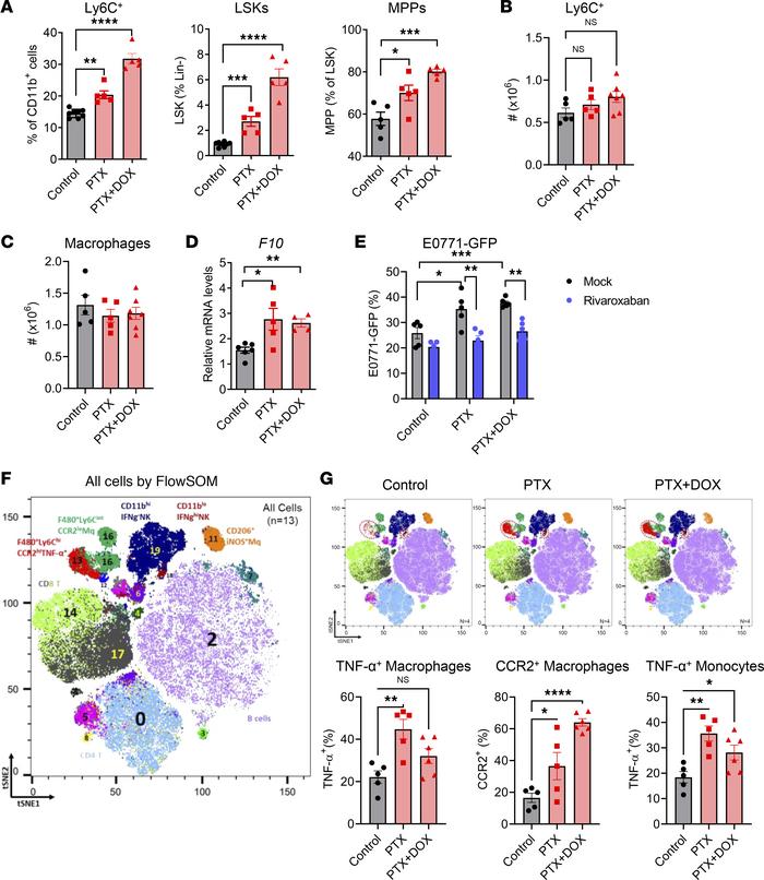 JCI Insight - Reactive myelopoiesis and FX-expressing macrophages ...