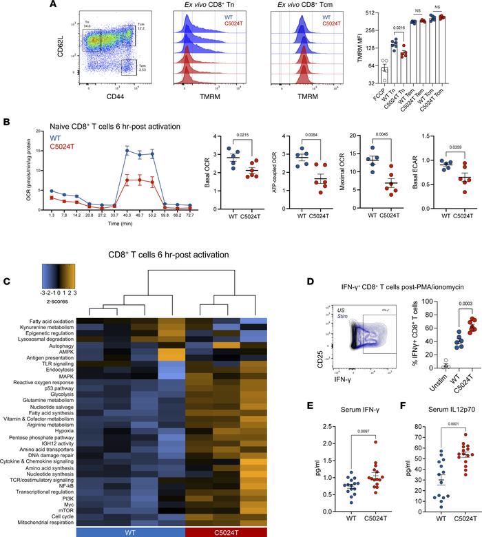 JCI Insight - Antigen receptor stimulation induces purifying selection against pathogenic ...