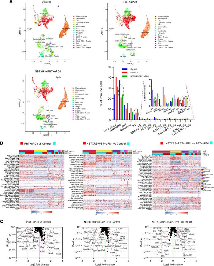 JCI Insight - Nanoparticle-enhanced proton beam immunoradiotherapy drives immune activation and ...