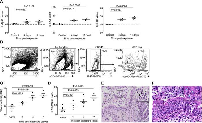 JCI Insight - Human T cells efficiently control RSV infection