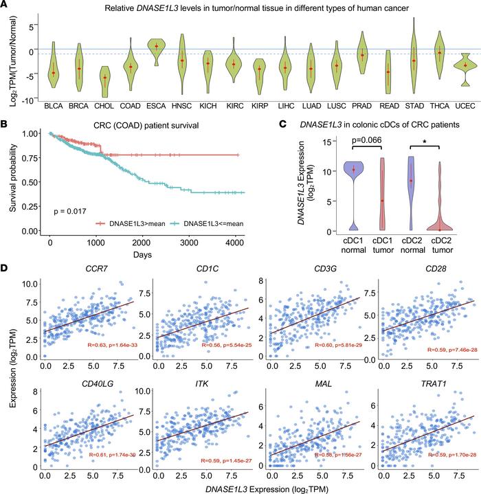JCI Insight - DNASE1L3 enhances antitumor immunity and suppresses tumor ...