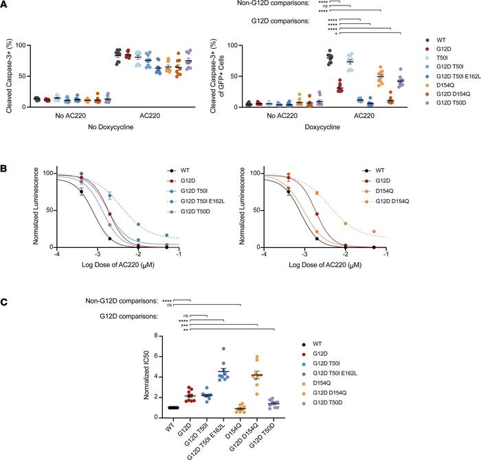 JCI Insight - Structural and functional analyses of a germline KRAS ...