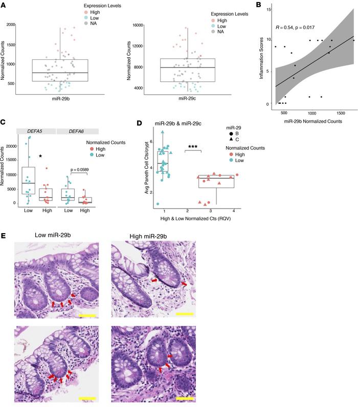 JCI Insight - Aberrant miR-29 is a predictive feature of severe ...