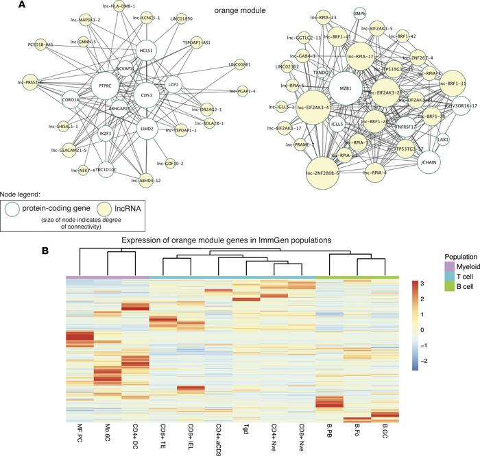 JCI Insight - Gene coexpression networks reveal a broad role for ...