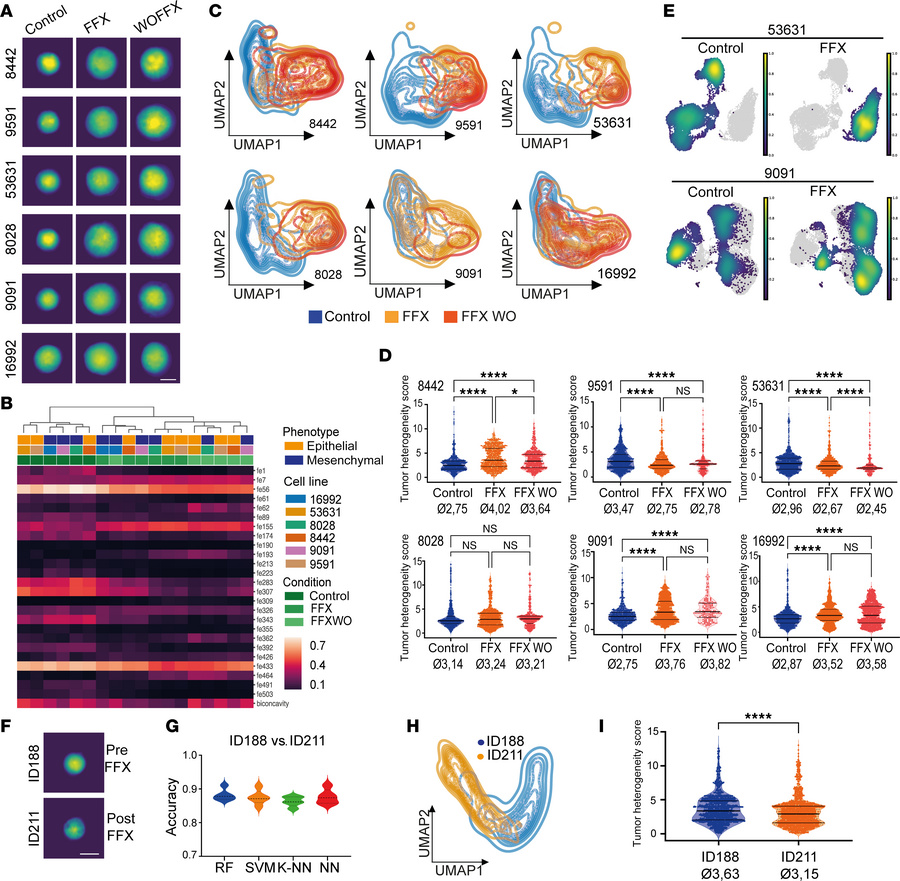 JCI Insight - Label-free single-cell phenotyping to determine tumor ...