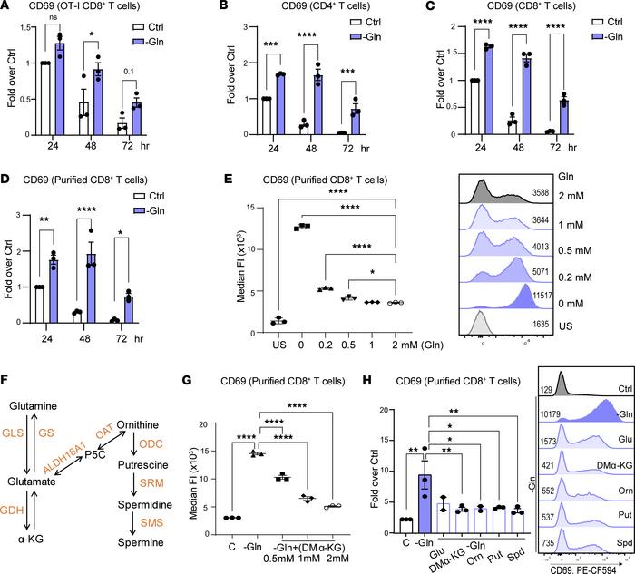 JCI Insight - Modulating the polyamine/hypusine axis controls ...
