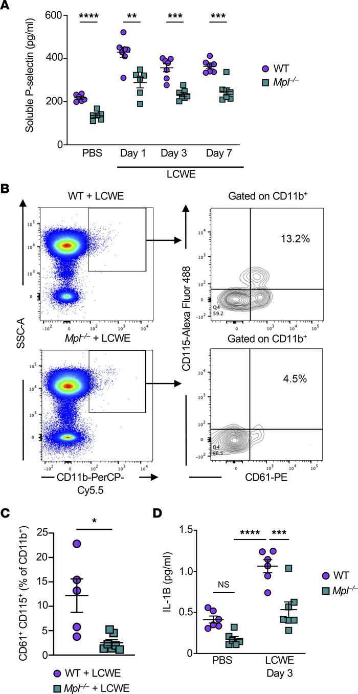 JCI Insight - Platelets exacerbate cardiovascular inflammation in a ...