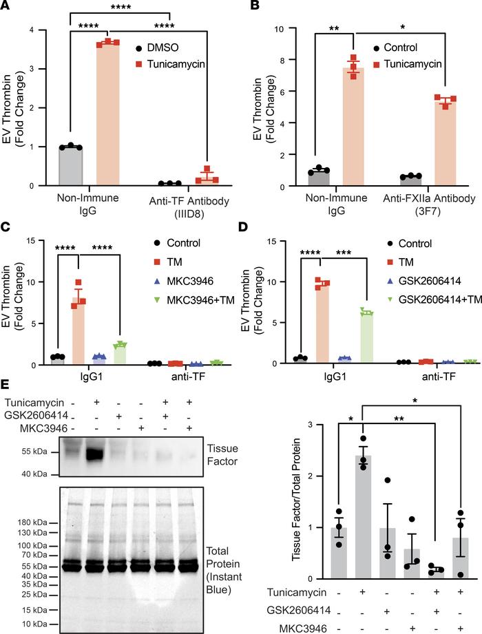 JCI Insight - The unfolded protein response links ER stress to cancer ...