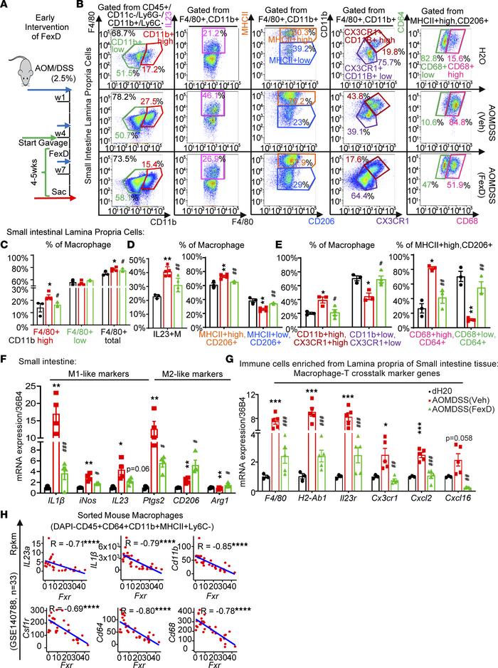JCI Insight - Farnesoid X receptor mediates macrophage-intrinsic ...