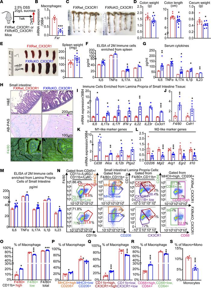 JCI Insight - Farnesoid X receptor mediates macrophage-intrinsic ...
