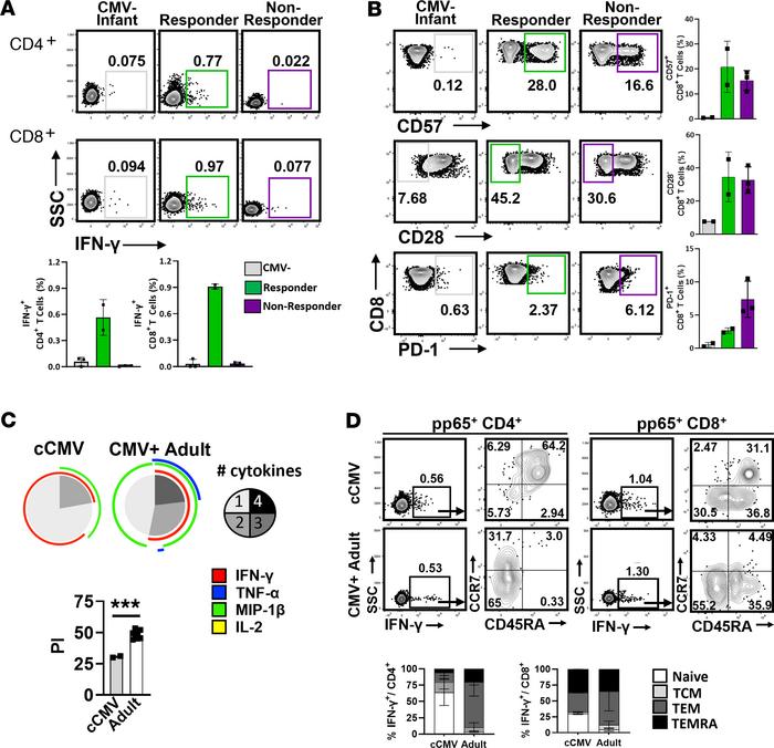 JCI Insight - T cell responses and clinical symptoms among infants with ...