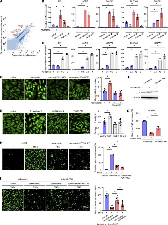 JCI Insight - Endothelial cell–specific LAT1 ablation normalizes tumor ...