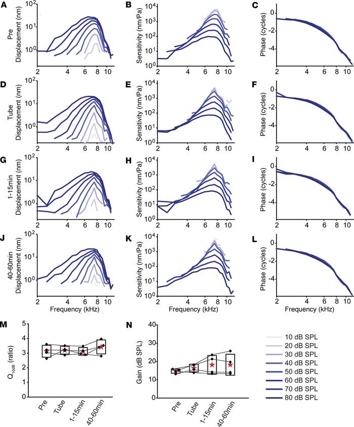 JCI Insight - Semicircular canal drug delivery safely targets the inner ...
